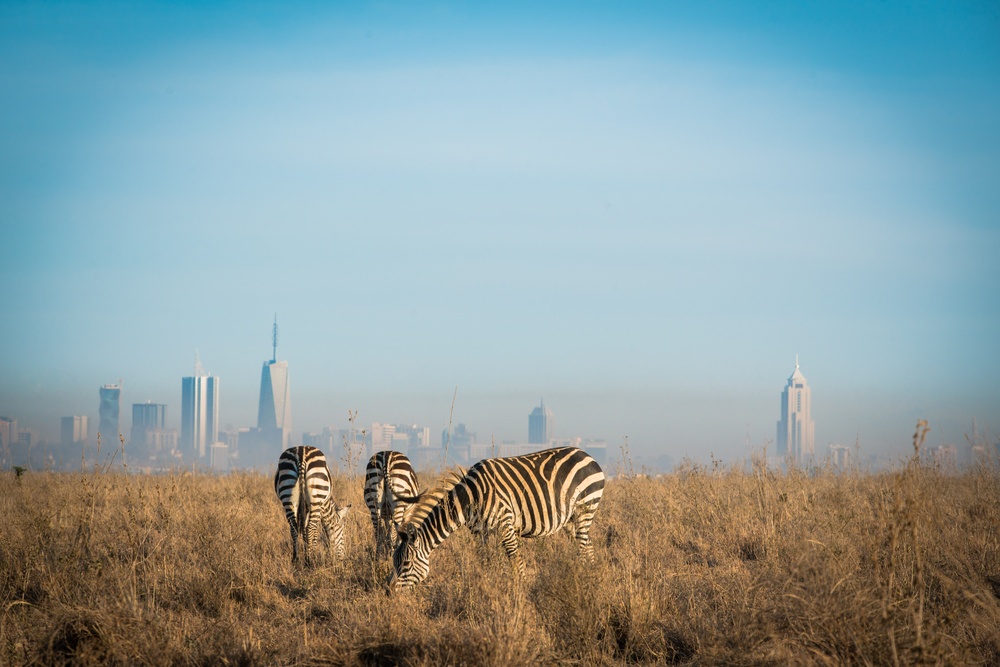 Nairobi reinvents itself to be an economic powerhouse | Asia Property ...